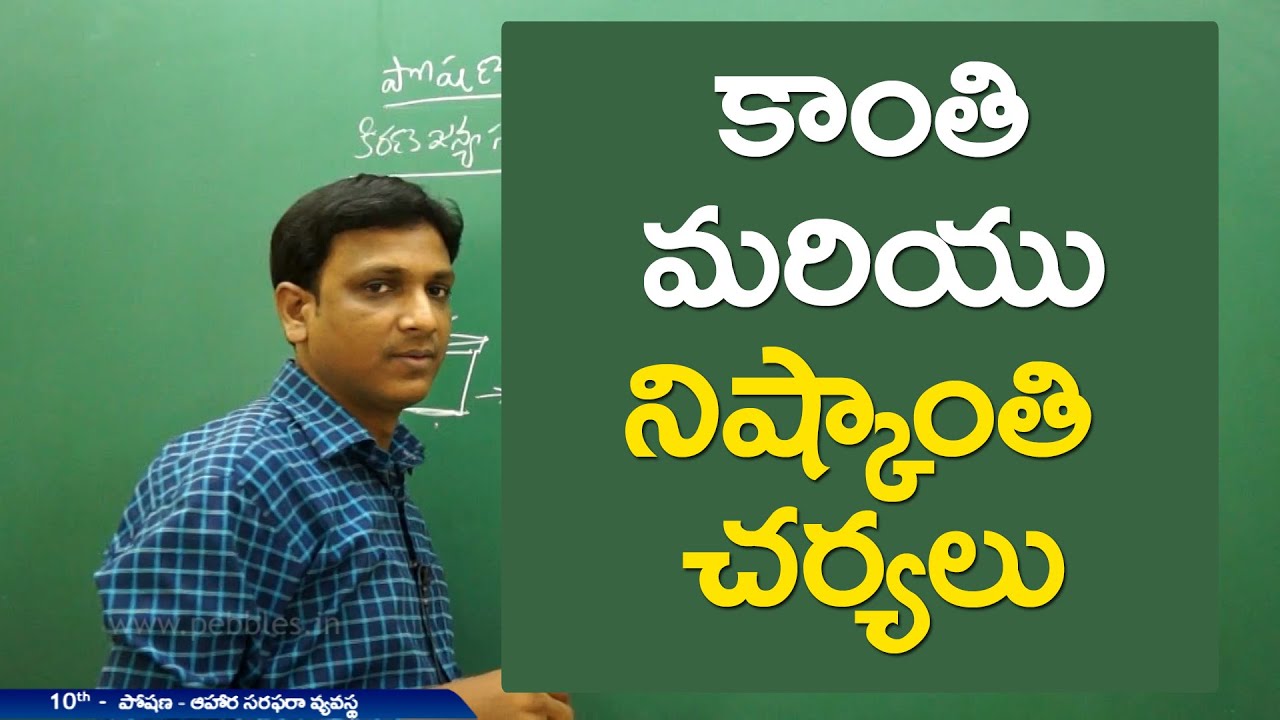 Photosynthesis In Telugu Class 10 photosynthesis-in-telugu-class-10