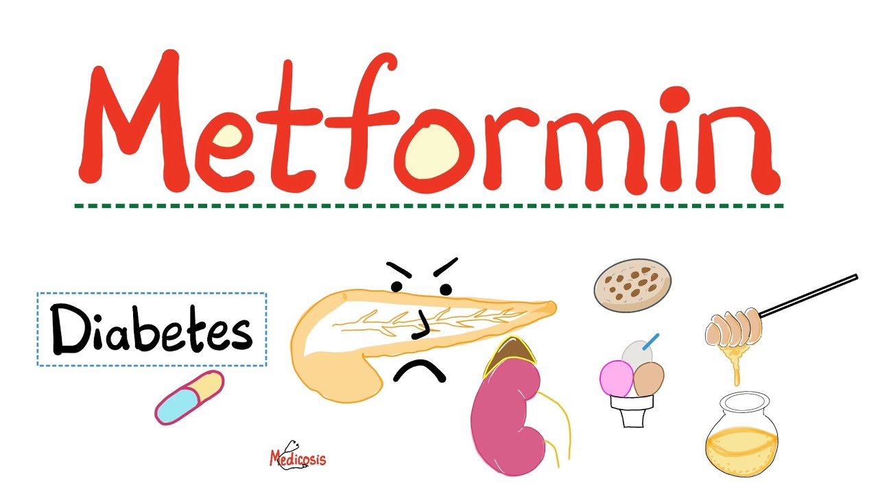Metformin - Mechanism of Action - Side effects - Toxicity - Endocrine ...