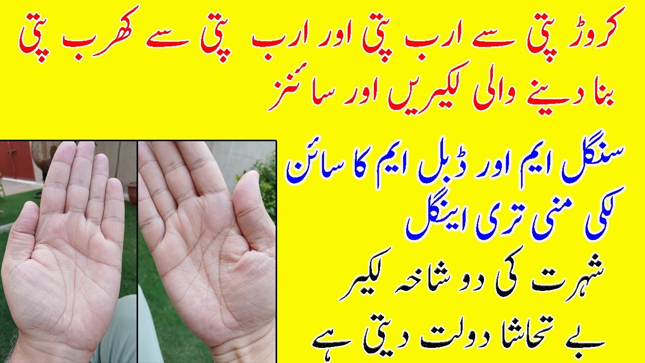 VERY VERY LUCKY PALM _ MONEY TRIANGLE _ DOUBLE LUCK LINE _ SUN LINE DO ...