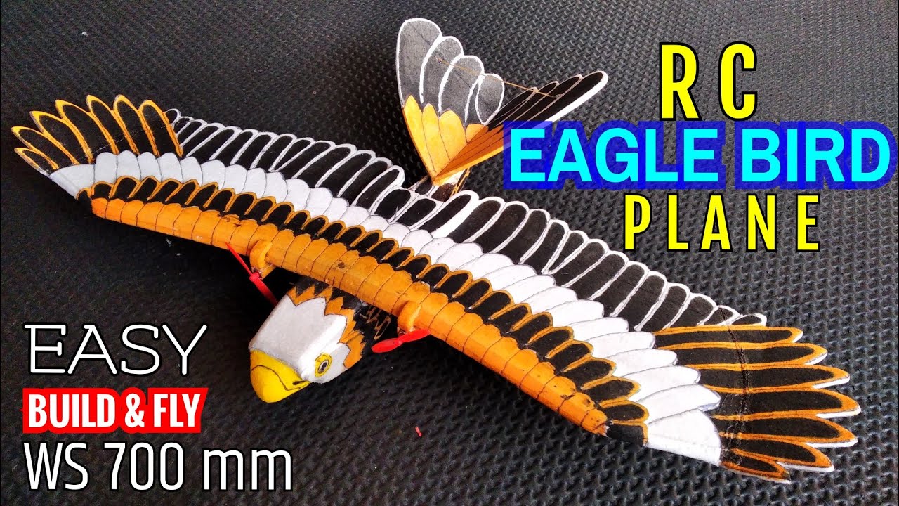 How To Make Eagle Bird RC Plane_Unique 2 CH RC Plane - YouTube
