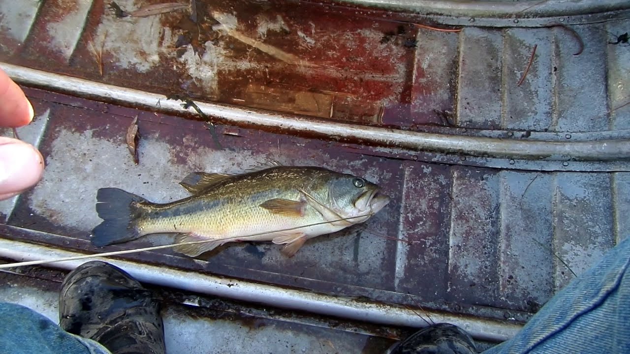 The best fish stringer - YouTube