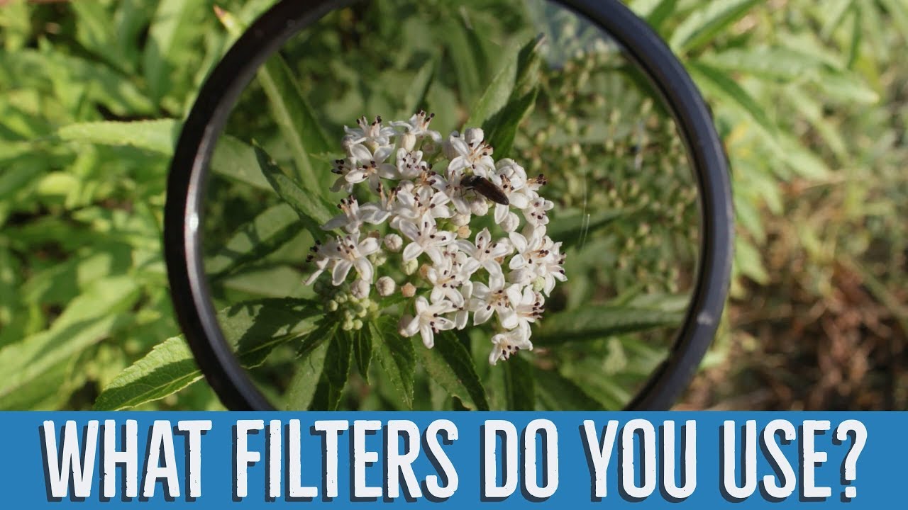 Pastor Michael Fantry - What Filters Do You Use? (December 29th, 2019 ...