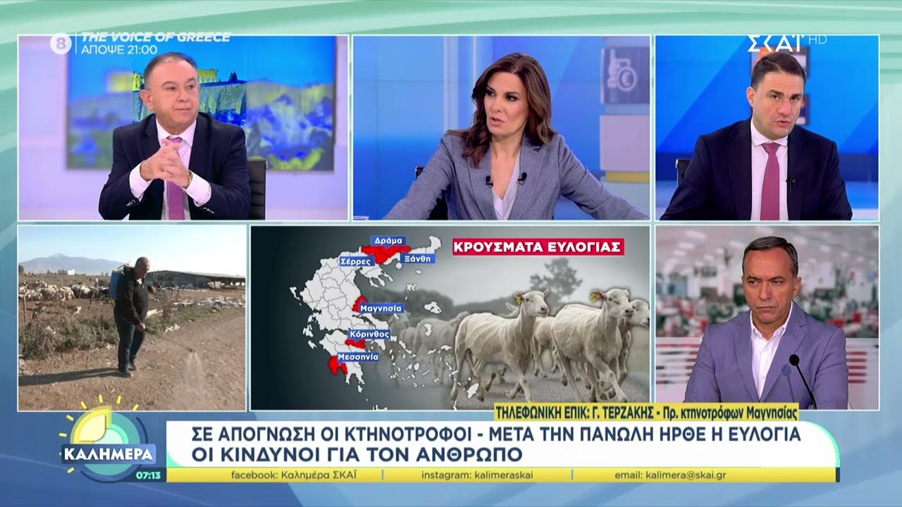 Σε απόγνωση οι κτηνοτρόφοι: Μετά την πανώλη ήρθε η ευλογιά - Οι ...