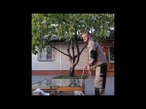 Connect and prepare the window on the roof #1
