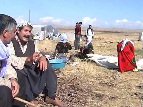 Medamed21 dengbêj elîyê qerejdaxî lêlê evdalê