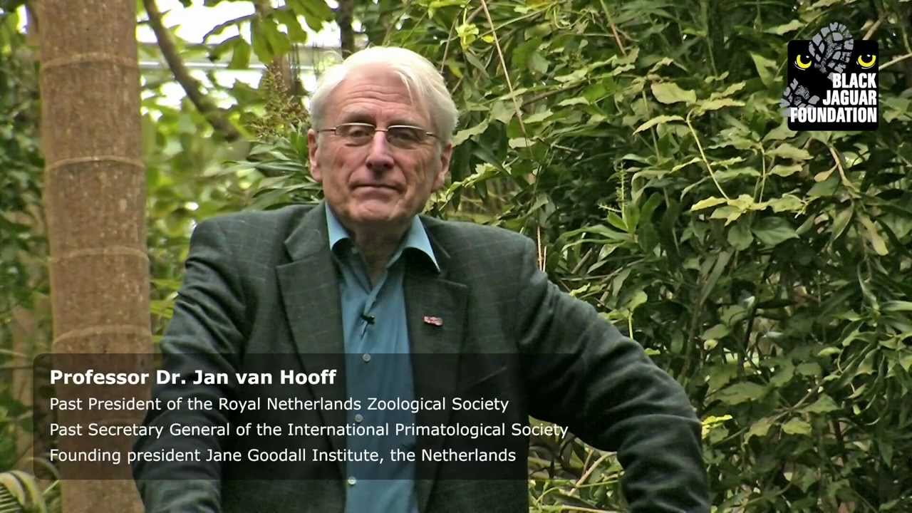 304/600 : Prof. Dr. Jan van Hooff - Ambassador Black Jaguar Foundation ...