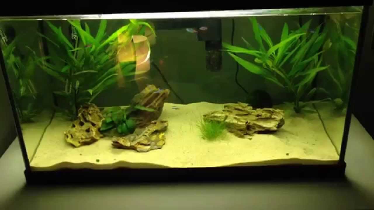 Marina Style Tank 60 Litre Aquarium - YouTube