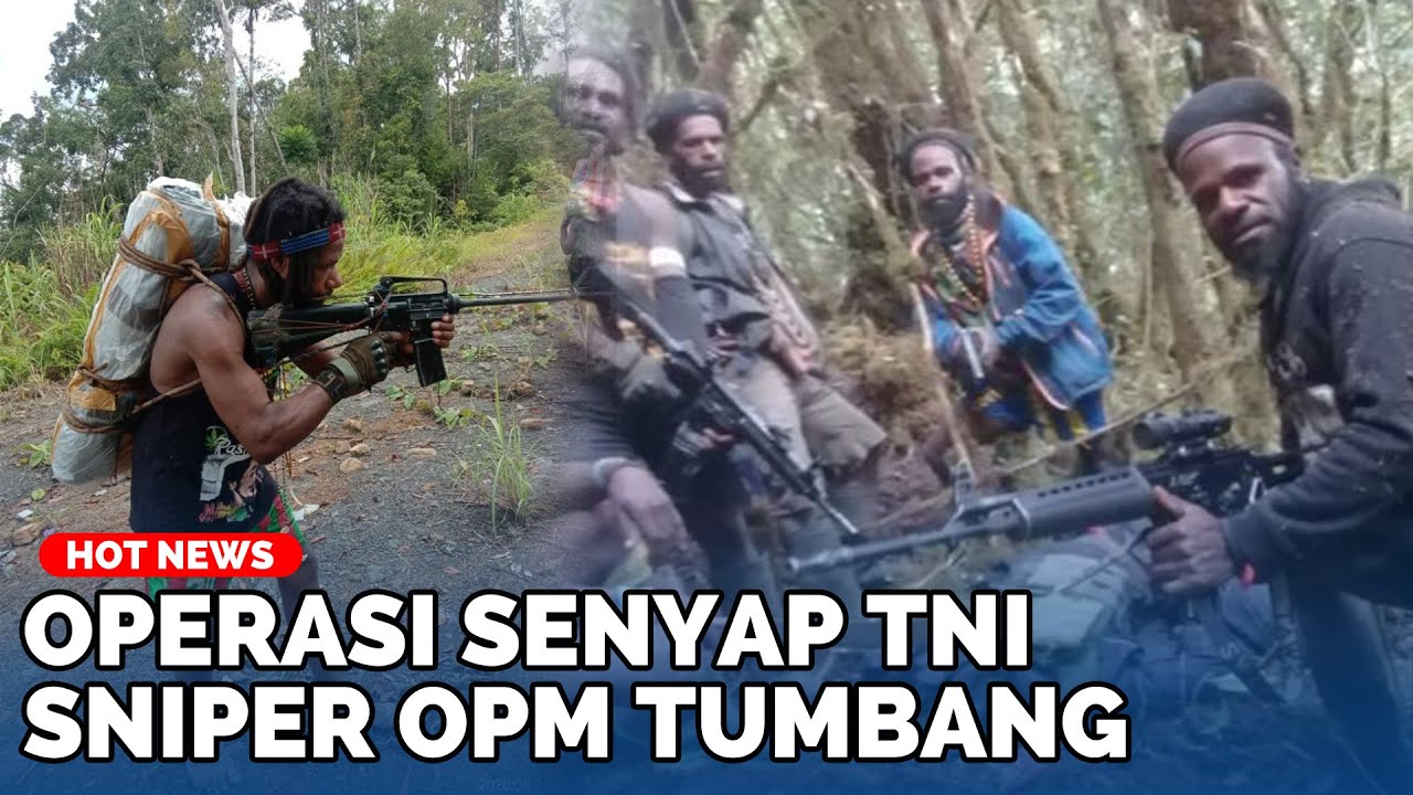 Sniper OPM Tumbang, Operasi Senyap Jenderal Kopassus Tembak KKB Pencuri ...
