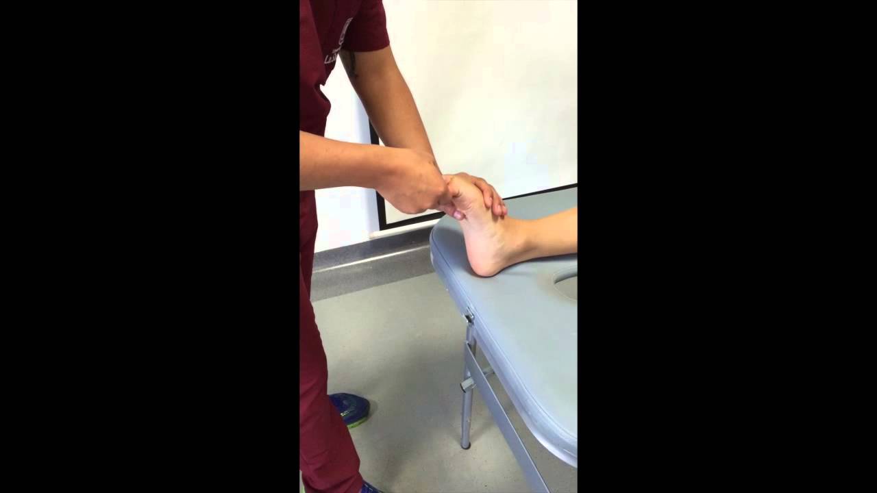 Flexor Largo Del Hallux Youtube