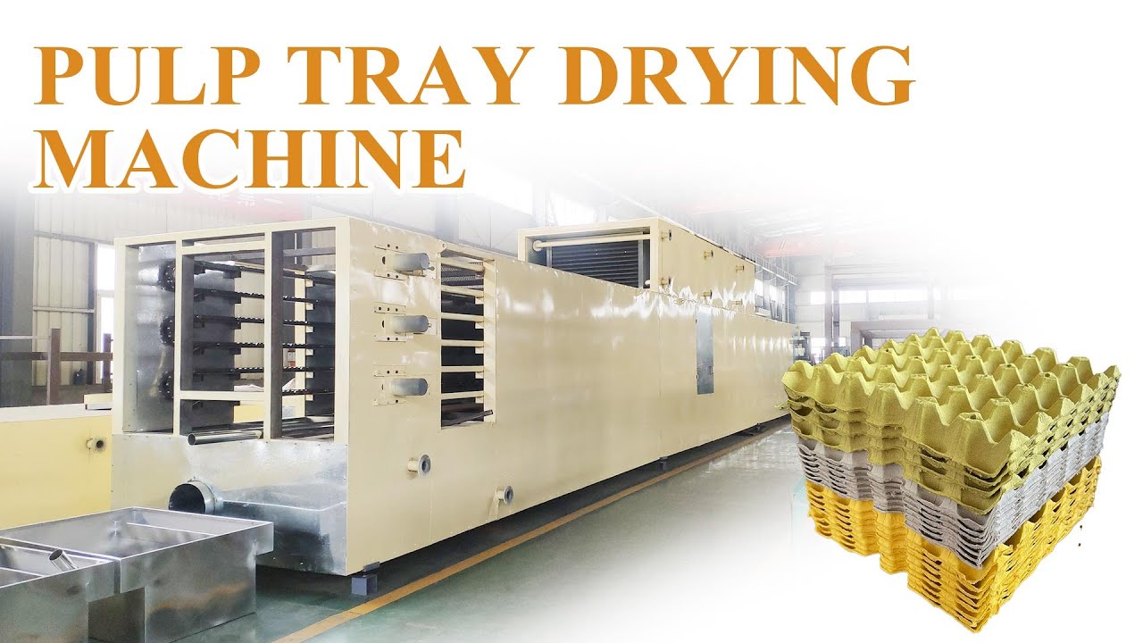 Continuous Egg Tray Drying Machine for Mass Production of Egg Trays # ...