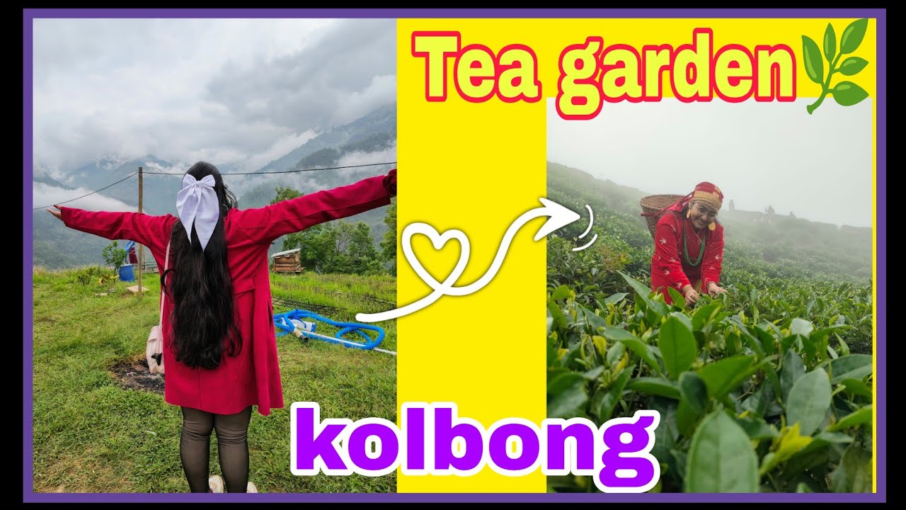 Didi Bahini Homestay।। Kolbong ।। The last day in Darjeeling 🥺 ...