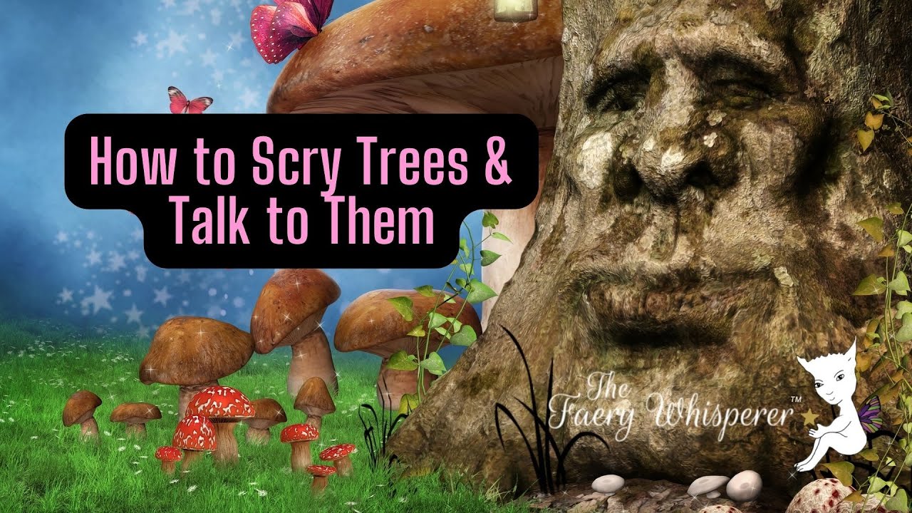 How to Scry Trees for Images & Talk to Them - YouTube