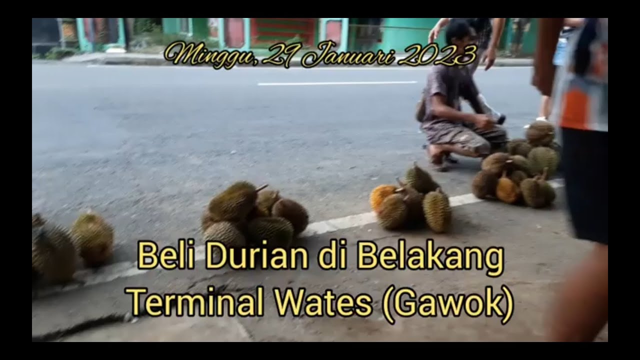 Beli Durian di Belakang Terminal Wates. Minggu, 29 Januari 2023 - YouTube