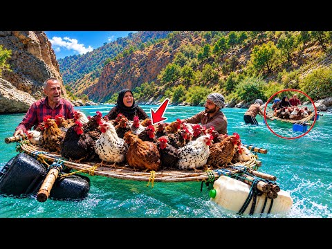 😳🐔 Why Did We Put So Many Chickens on a Boat and Head Into the River?
