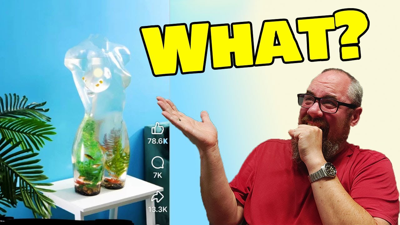 Weird aquarium things on the internet! - YouTube