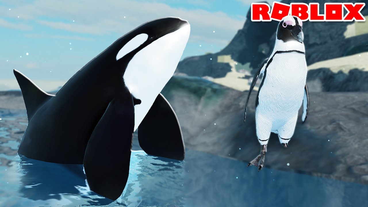 NOVO JOGO DE ANIMAIS AQUÁTICOS REALISTA! ORCA VS PINGUIM! | ROBLOX ...
