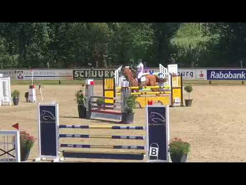 Lisa van der Hulst & Baroud de Libersart - YouTube