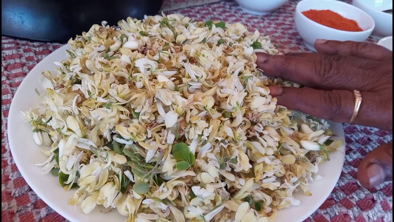 Munaga puvvu Curry in Telugu | Drumstick flowers Curry Recipe in Telugu ...