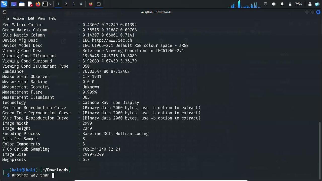 Cracking the Code: picoCTF Forensics - Glory of the Garden Walkthrough (Beginner Friendly) - YouTube