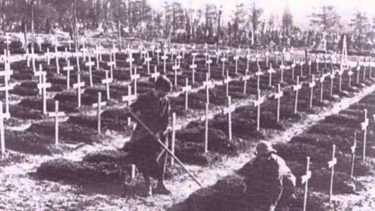 A Reading of 'In Flanders Fields' - YouTube