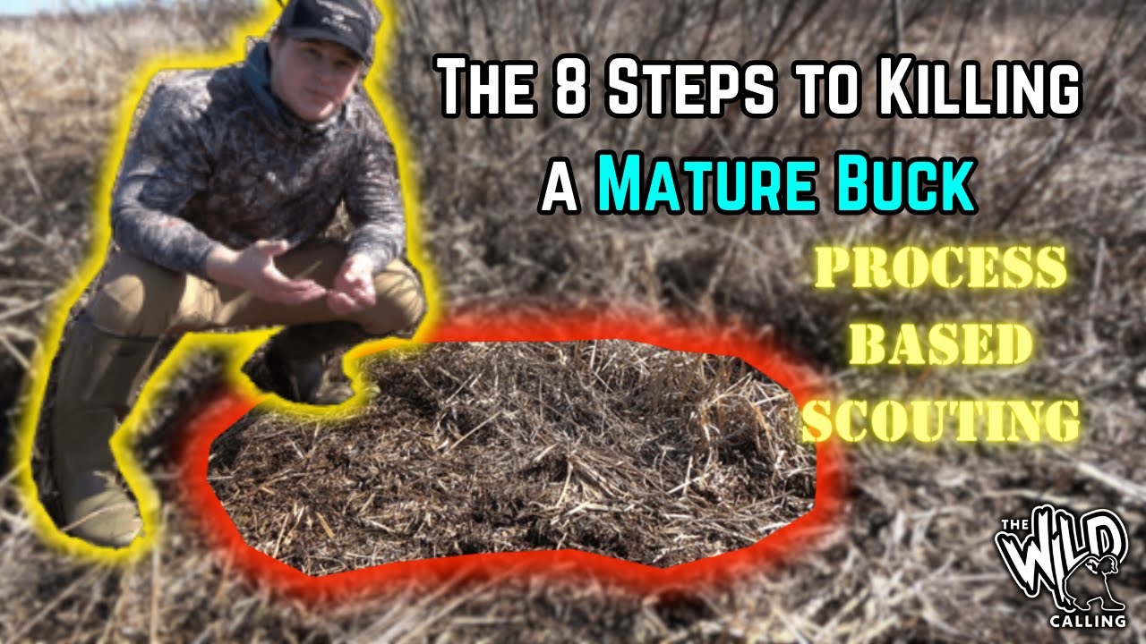 Process Based Scouting - 8 Steps to Arrowing a Mature Buck - YouTube