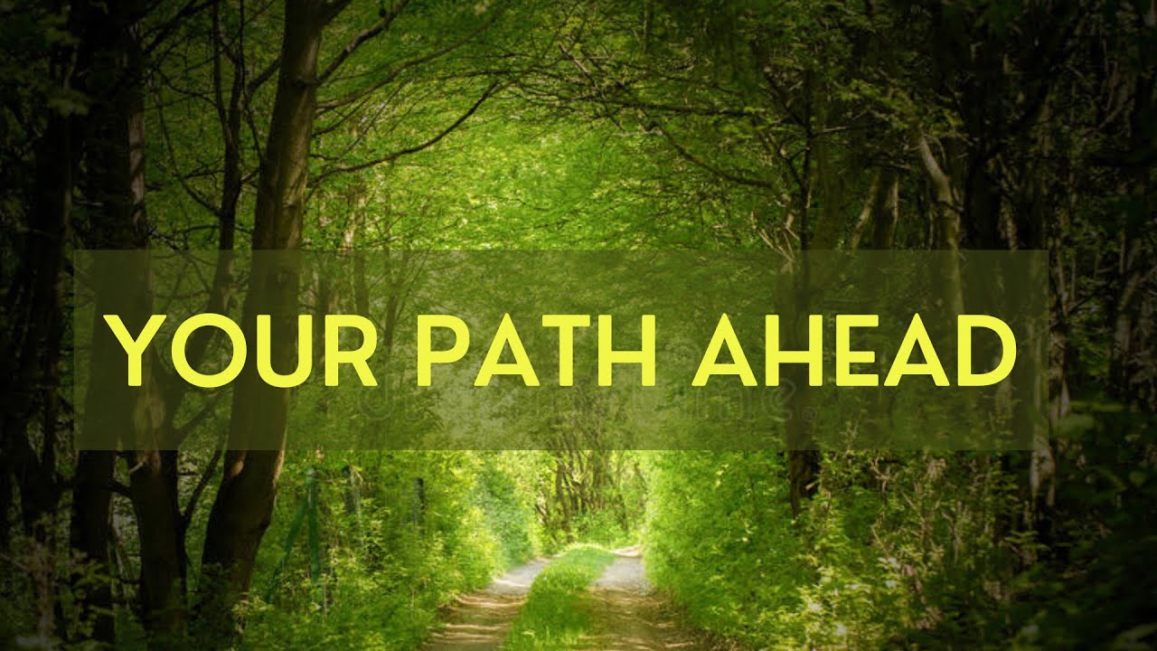 Your Path Ahead * Timeless Reading - YouTube