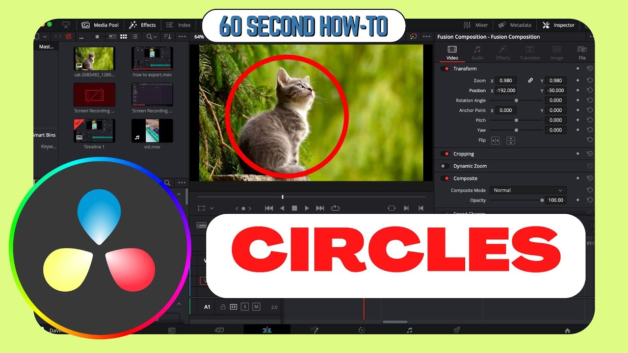 How to draw circles with Da Vinci Resolve - YouTube