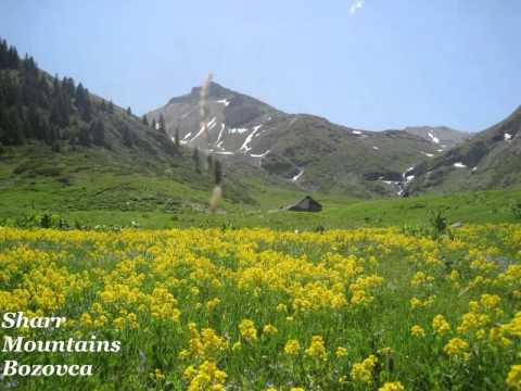 Fshati Bozovce 2014 - YouTube