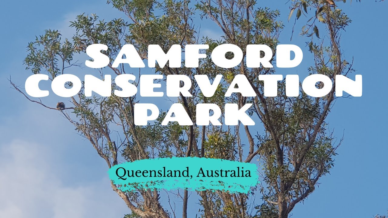 Samford Conservation Park Queensland Australia | Nature Photography ...