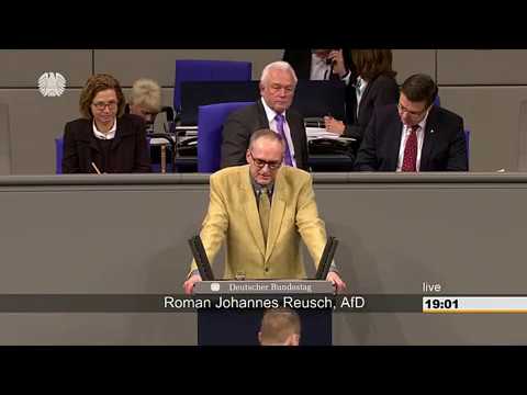 AKTUELL - REDE ROMAN REUSCH ( AFD ) AM 15.MÄRZ IM DEUTSCHEN BUNDESTAG ...