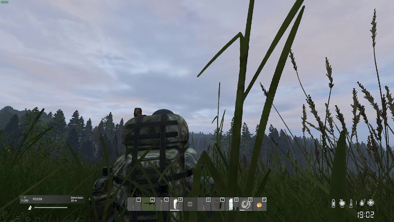 DayZ Roe deer hunt 2020 02 27 - YouTube