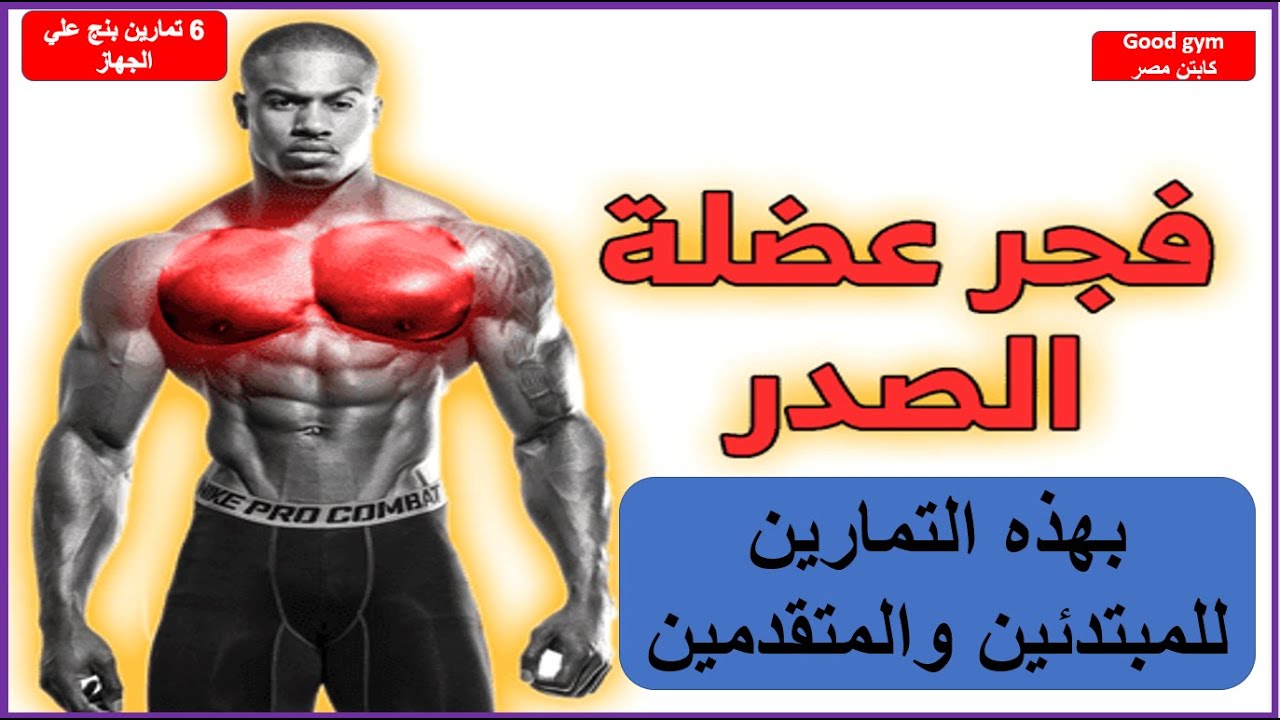 تمارين صدر قوية علي الاجهزة لتقوية وتعريض وضخامة الصدر للمبتدئين والمتقدمين Youtube