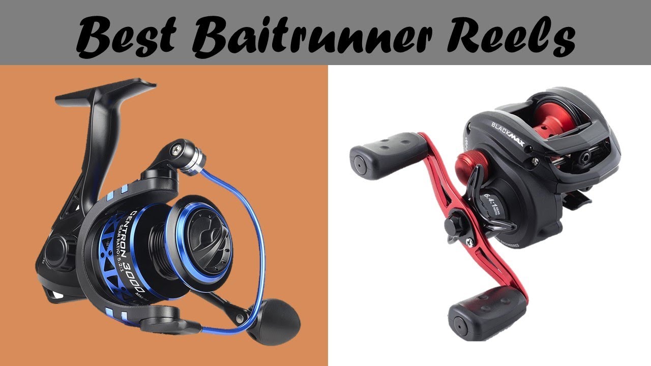 Baitrunner Reels Reviews : Top 5 Best Baitrunner Reels 2020 - YouTube
