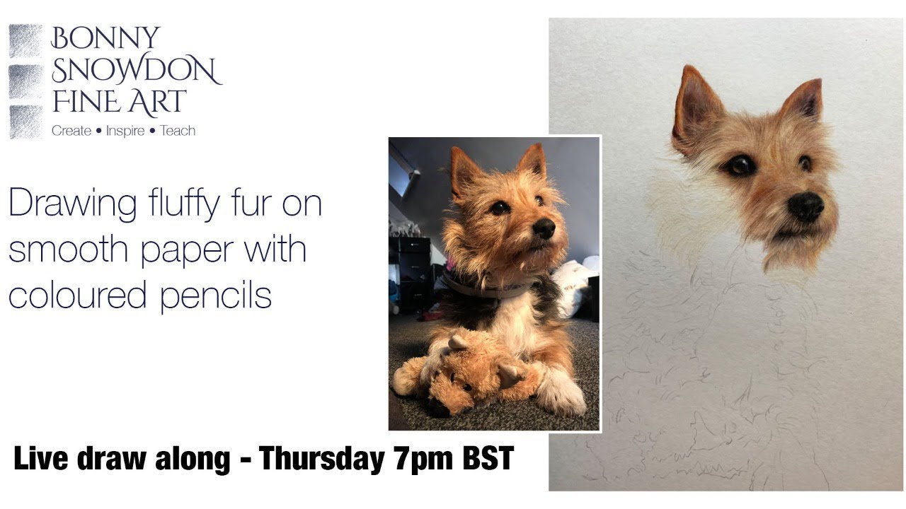 Live Draw Along and Chat | Fluffy Fur with Coloured Pencils - YouTube