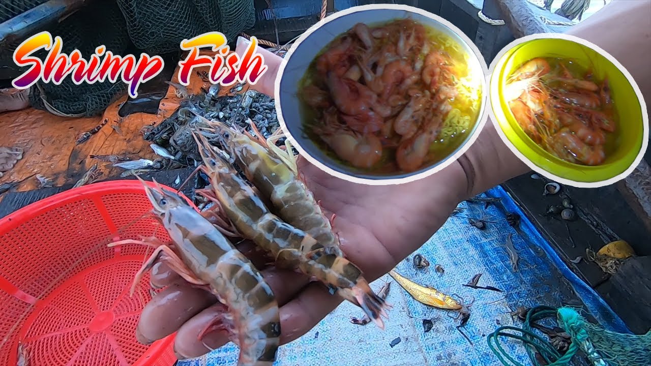 Big Primitive Fish Shrimp Catch Under River Water! - YouTube