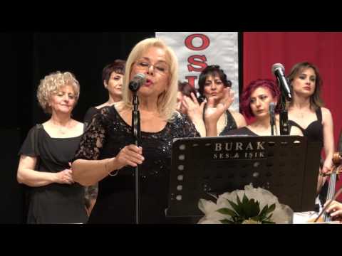 SEVİNÇ ALTINORDU - BİR YAZ GÜNÜ TANIŞMIŞTIK