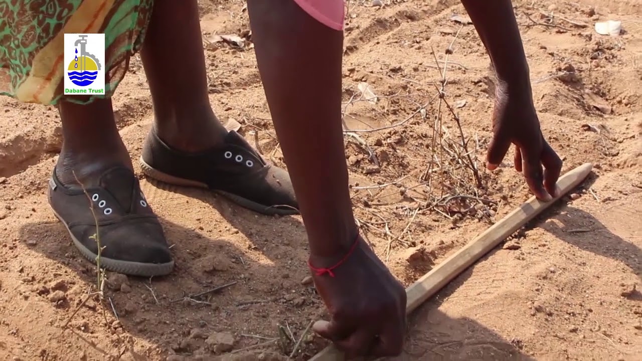 How to properly dig planting basins - YouTube