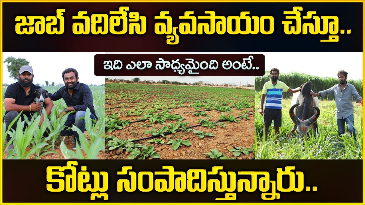 Anil Singh : How to Start Natural Organic Farming | Success Story Of ...