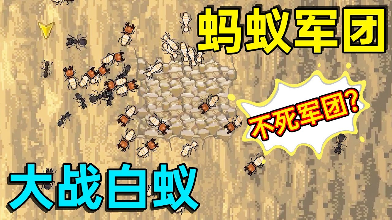 【名游社】大蚂蚁王国对战白蚂蚁王国，这是不死军团吗？ Youtube 5703