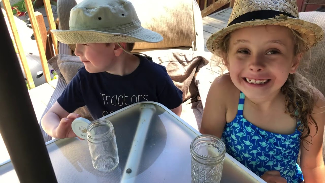 farm-to-fork-lesson-and-butter-activity-youtube