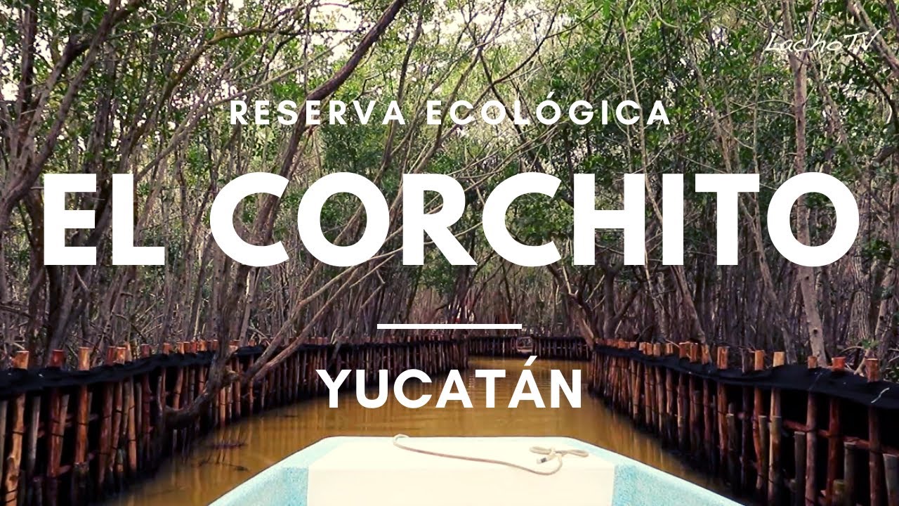 Mal dia para visitar la Reserva Ecológica "EL CORCHITO" | YUCATÁN - YouTube
