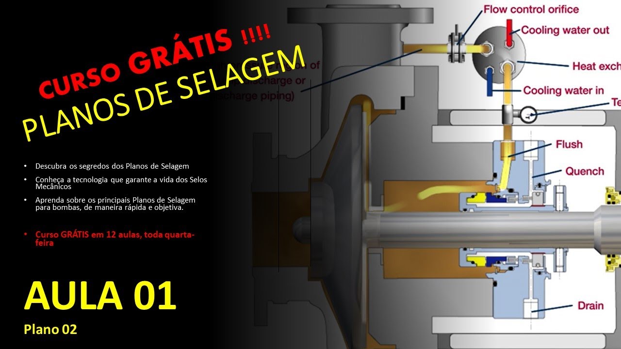 Aula 01 - CURSO GRATÍS DE PLANOS DE SELAGEM EM 12 AULAS - Conheça os ...