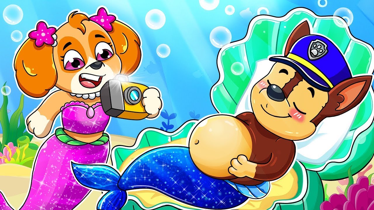 Mermaid CHASE Brewing Cute Baby Pregnant BUT What Happened?! - Paw ...