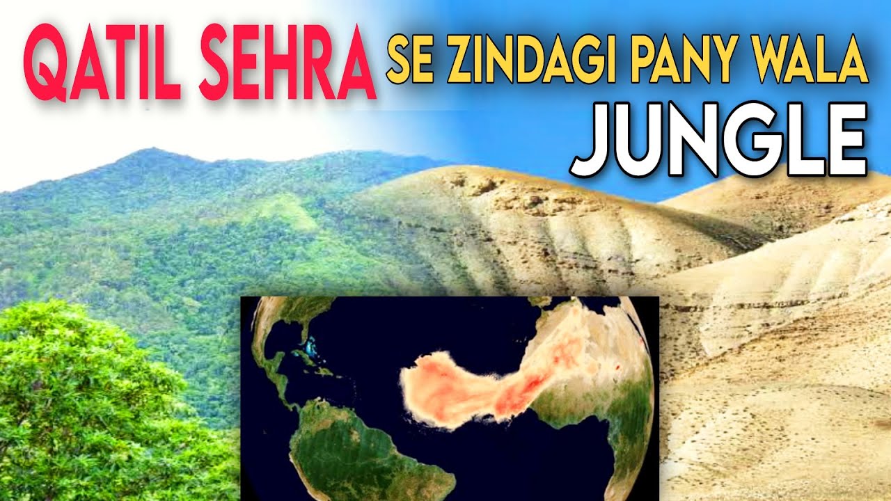 Amazing Connection Between Sahara Desert and Amazon Jungle | To The ...