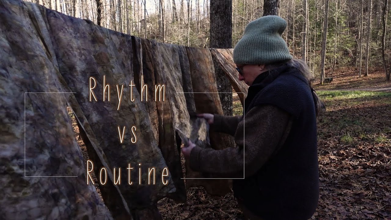 Rhythm vs Routine, a shift in perspective and gratitude for this ...
