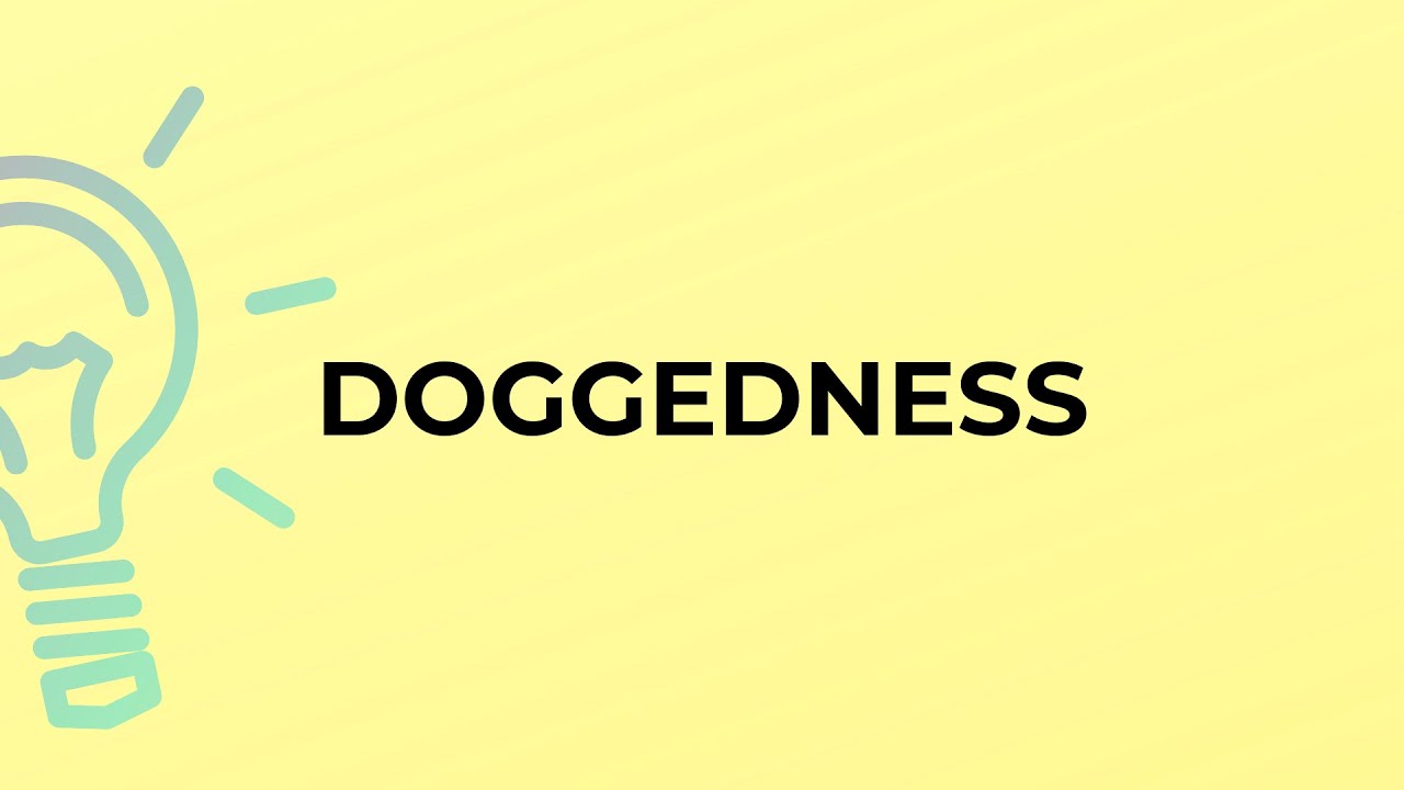 What is the meaning of the word DOGGEDNESS? - YouTube