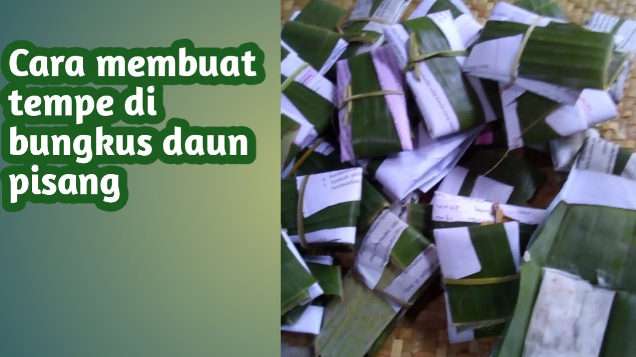 Cara membuat tempe bungkus daun pisang - YouTube