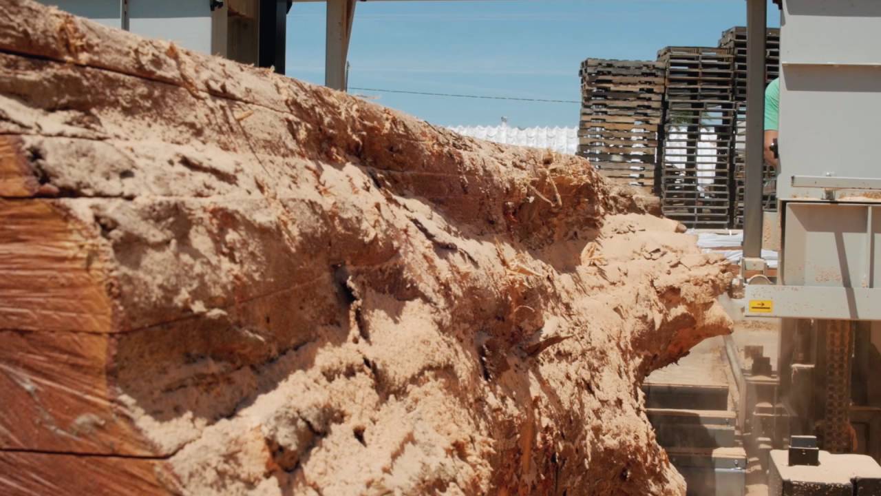 Cutting Beefwood On The WM-1000 - YouTube