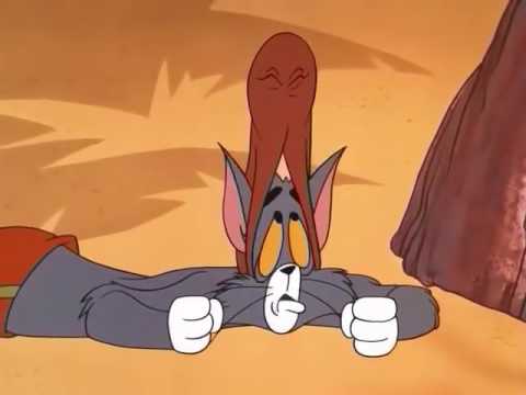 Tom and Jerry Surf Bored Cat 1967
