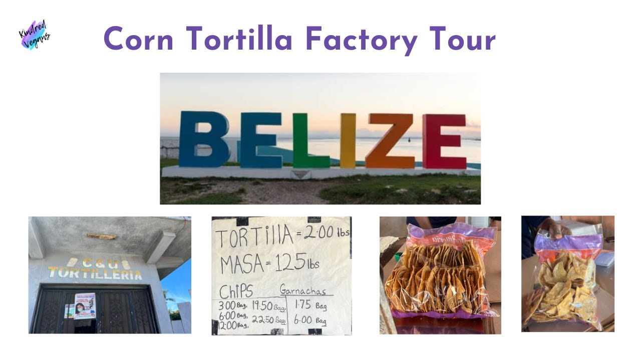 Tortilla Factory Tour || Belize - YouTube